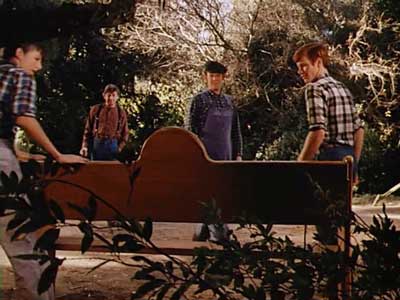 The Waltons s5-ep18 The Hero