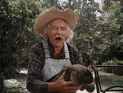 The Waltons s6-ep6 The Volunteer